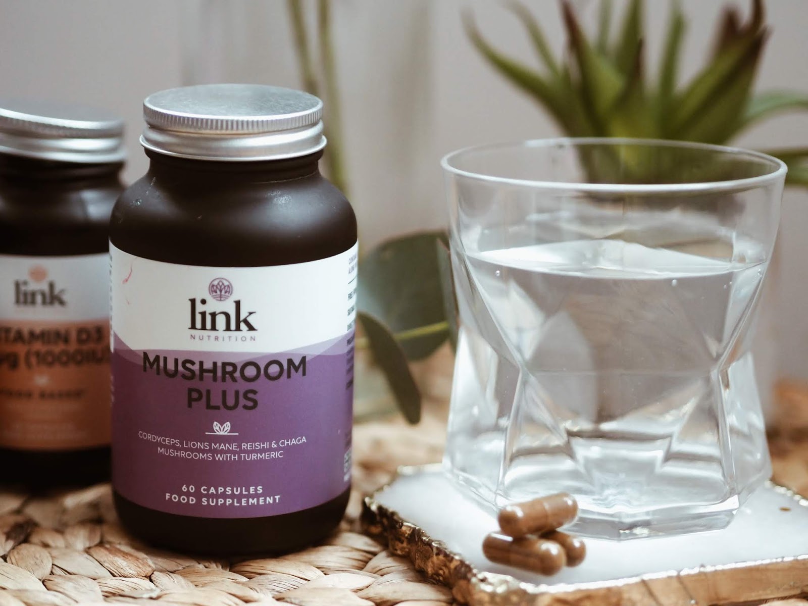 Wellness Supplements From Link Nutrition | LONDON MUMMA