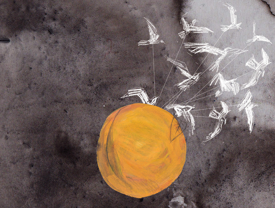 the art room plant: Sarah Maycock I