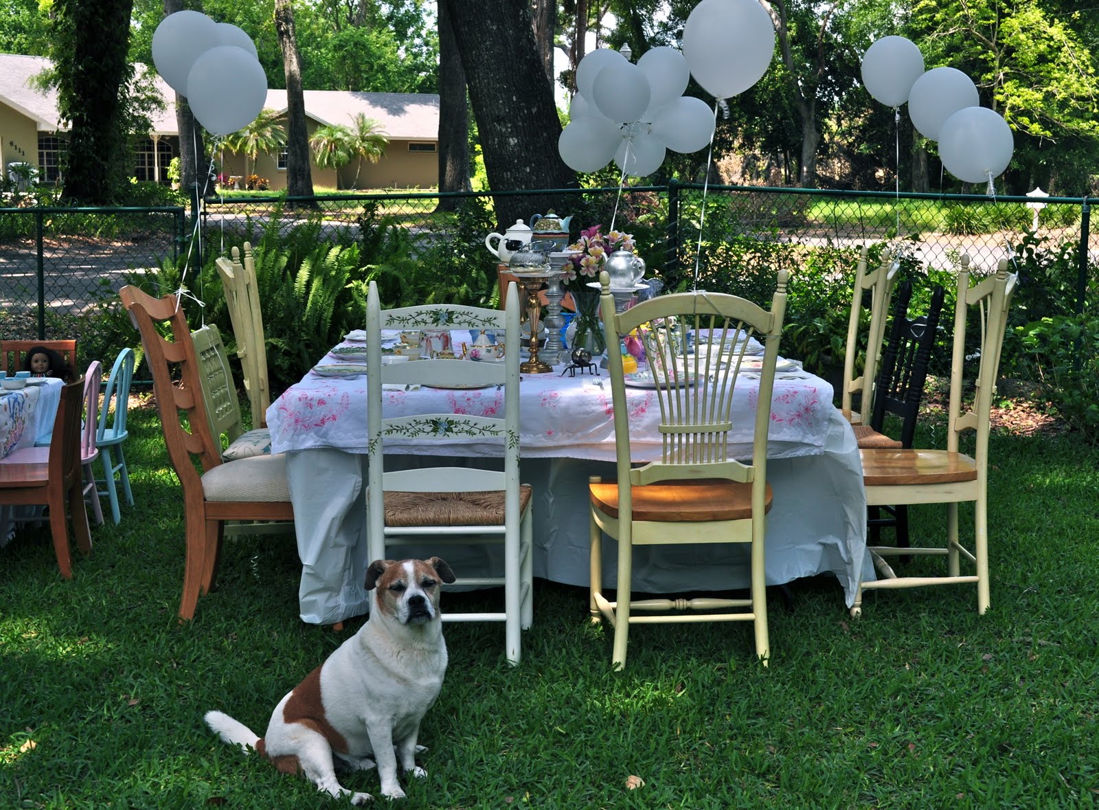 ewe hooo!: A Delightful Doll Tea Party!