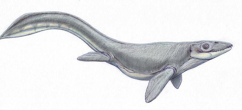 Los animales en la prehistoria: mayo 2013