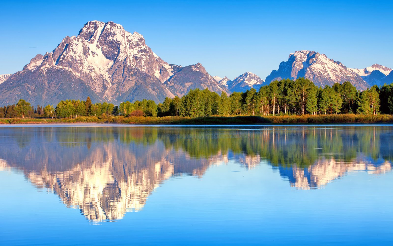 Imágene Experience: Paisajes Naturales y Animales de Nuestro Planeta IV