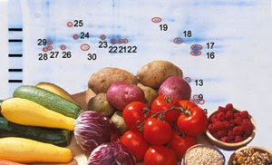 ISO 22000 Resource Center: Food Composition Data & Food Safety