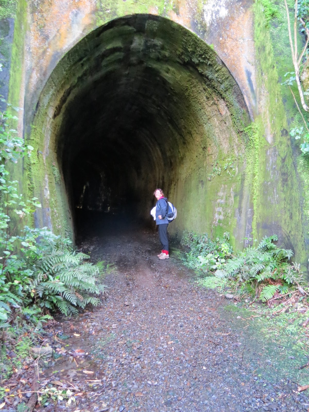 Wairarapa Woman 50+: In the Outdoors Discovering Rimutaka Incline Walk
