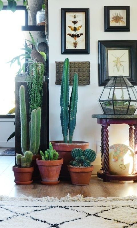 How cute is this space, with it's cactus decor?