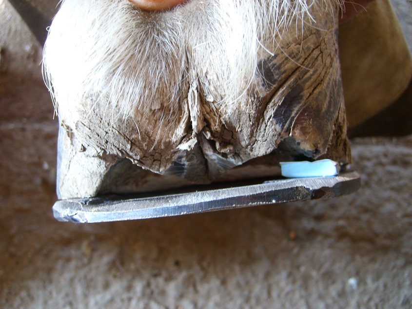 Tarulandia: Kavion halkeama: kengitys kuvina