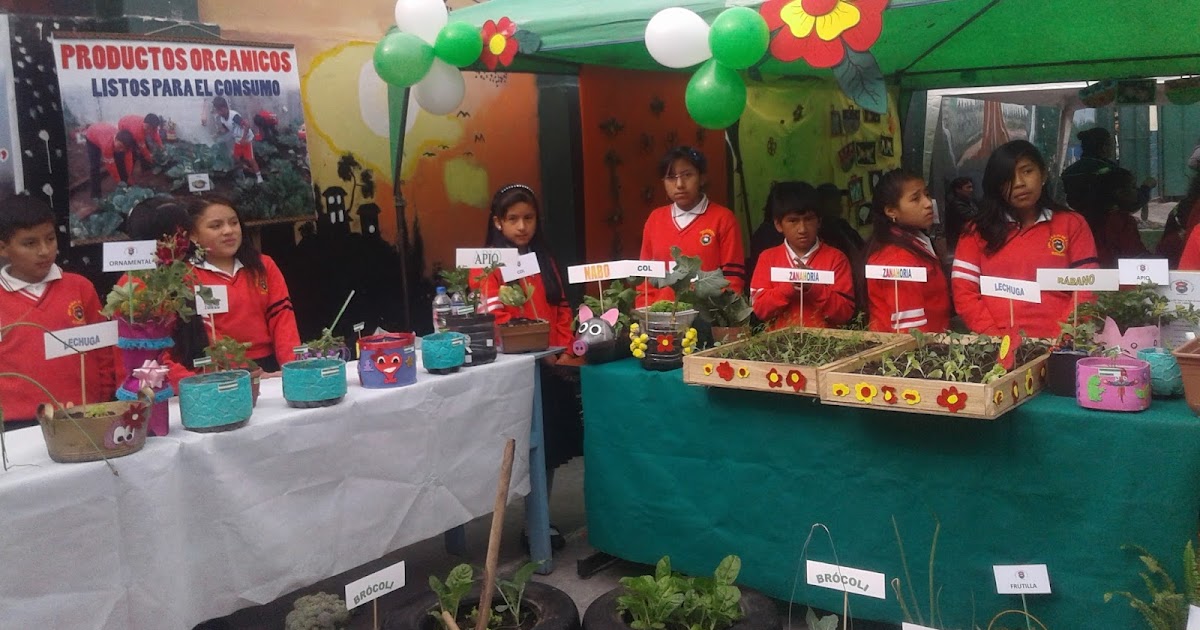 EXPOSICIÓN DE LOS PROYECTOS ESCOLARES ~ Escuela de Educación Básica "21 ...