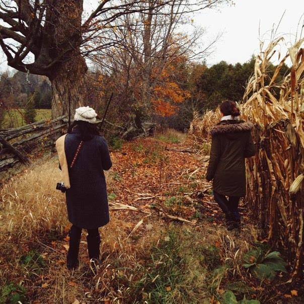 Building Walnut Farm: 2013