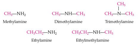 TATA NAMA AMINA DAN CONTOH SOALNYA