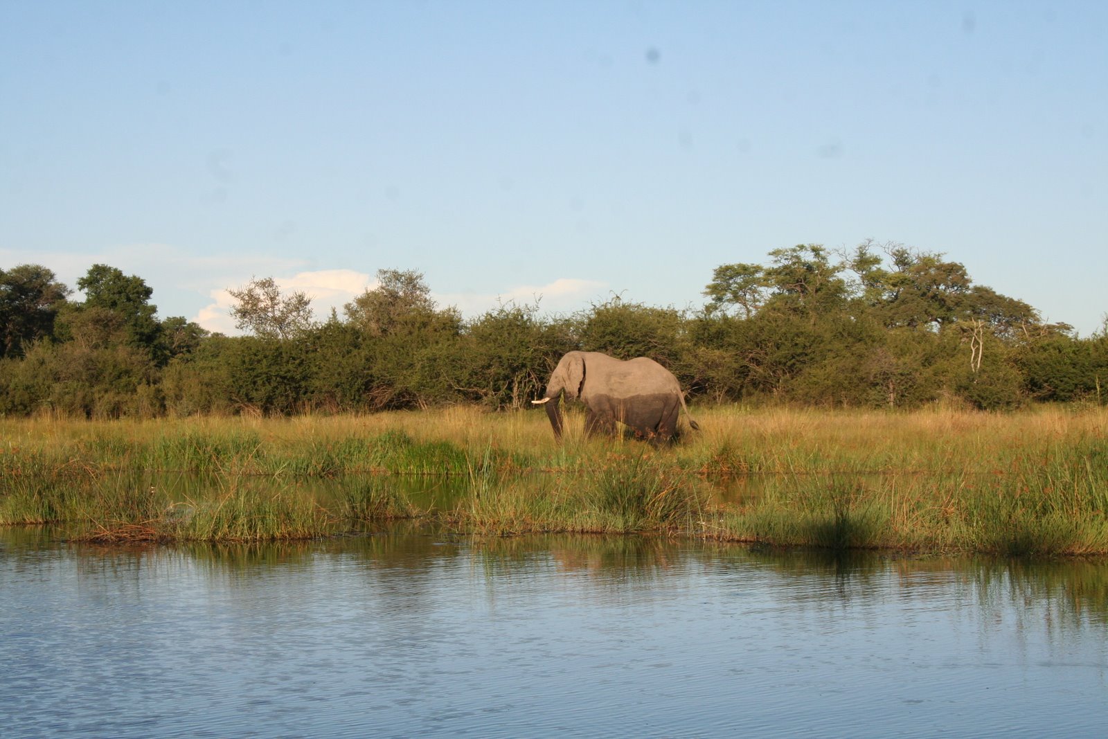 VSO Namibia: Kongola wetlands paradise
