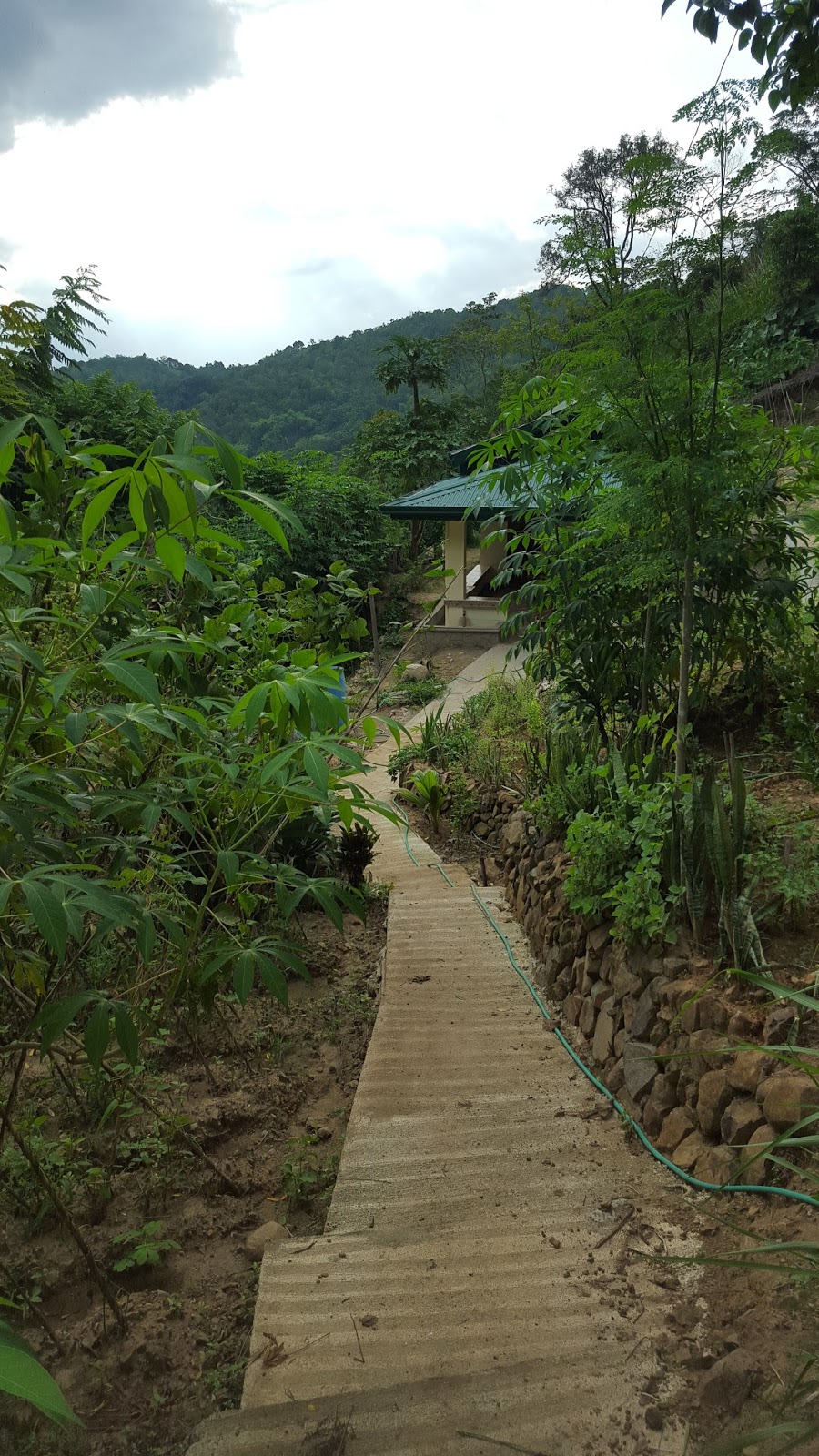 Carefree Christelle: My Week at the Layog Country Farm