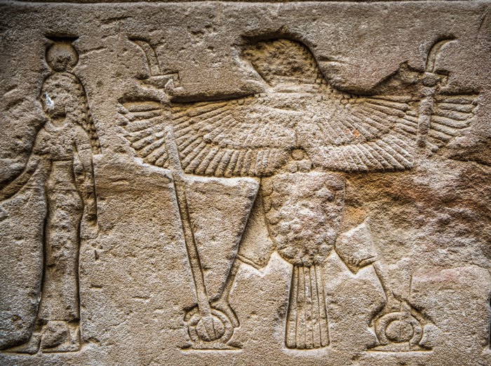 Inteligencia de Orión | Avistamientos | Ciencia | Investigación ...