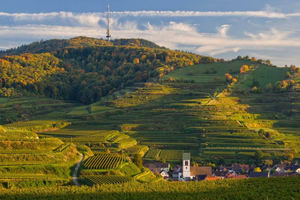 Vineyards in Germany beauty and the nature charming ~ Tourism & Trave