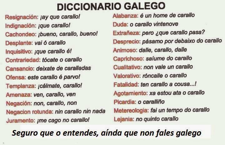 A beira das palabras: Dicionario de "carallos galegos"