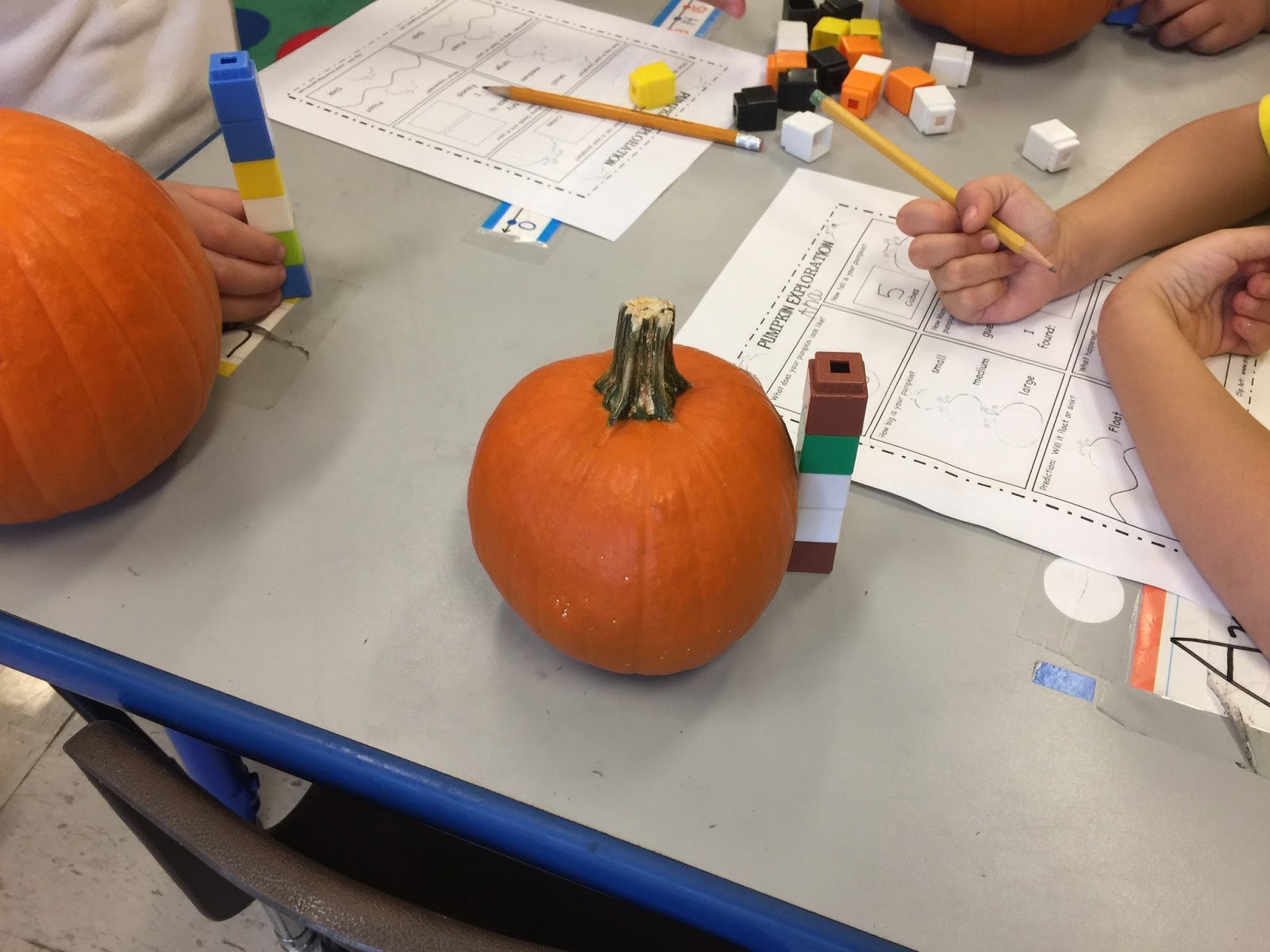 baul de ilusiones: Proyecto: Todo sobre las calabazas