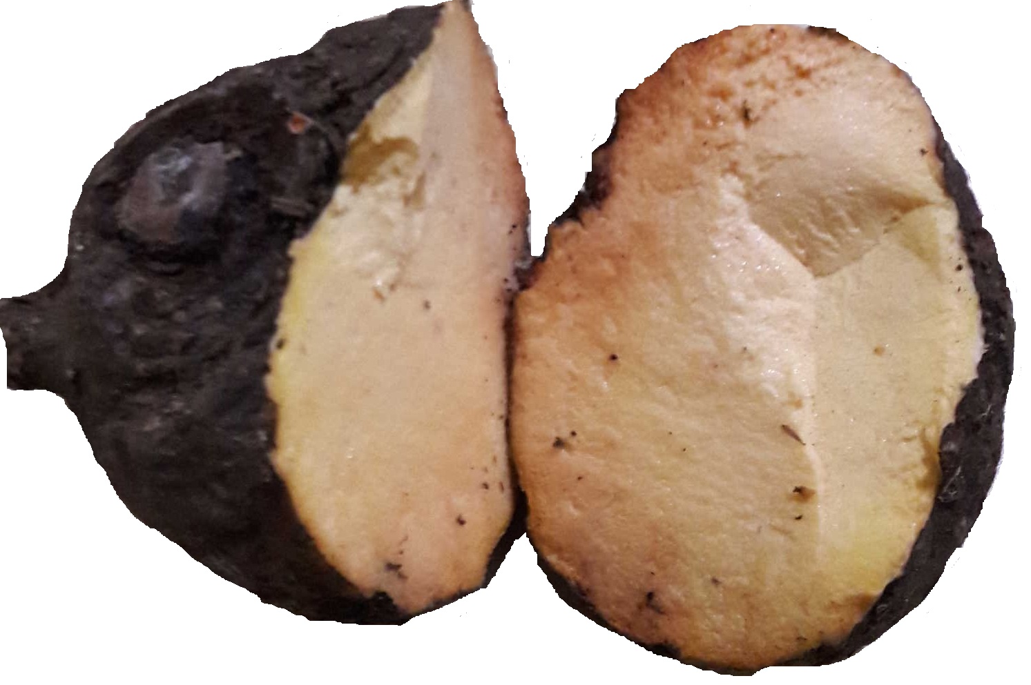 From The Kitchen Of An Indian Homemaker: Recipe of the day: Coconut ...