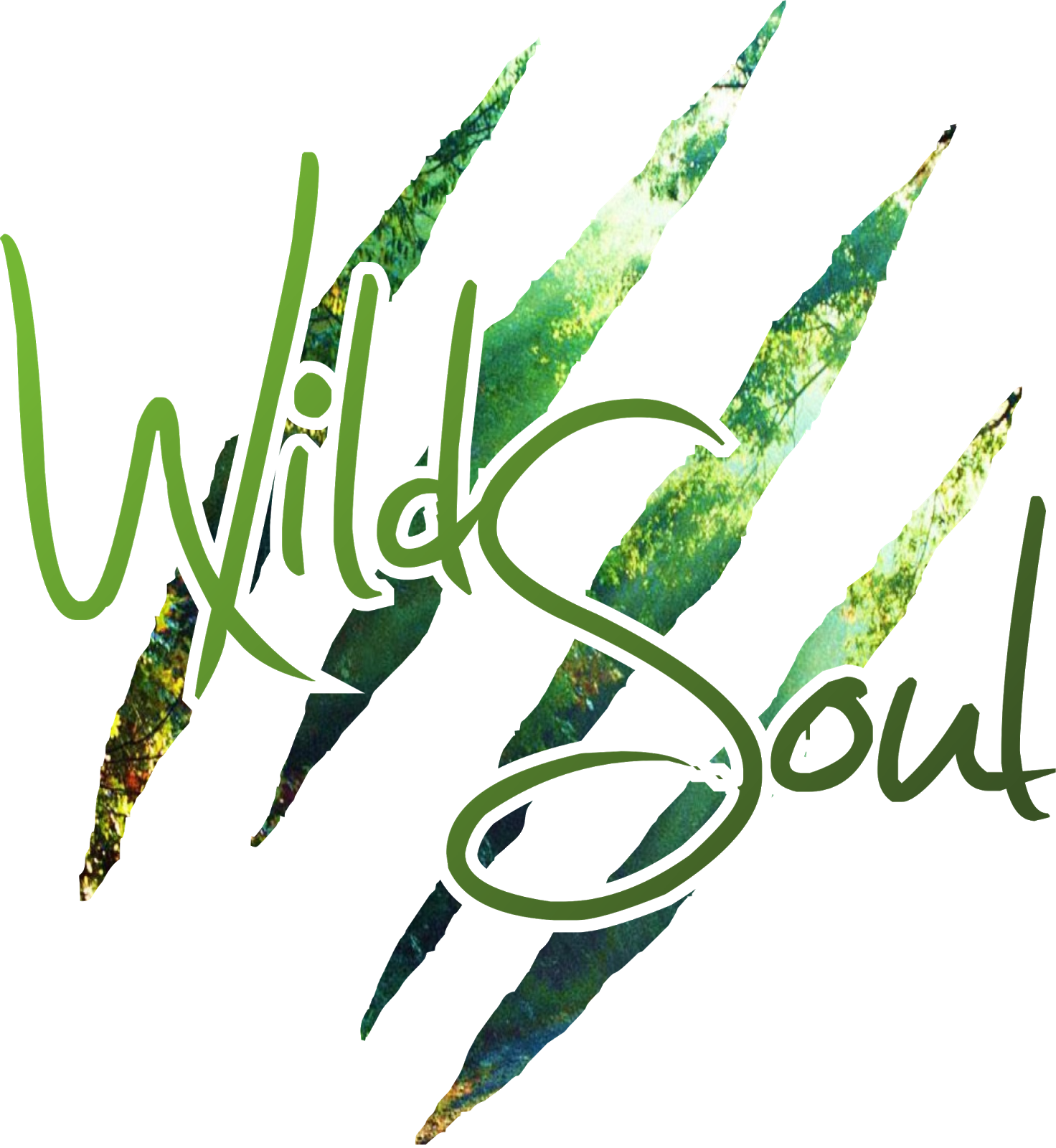 WILD SOUL