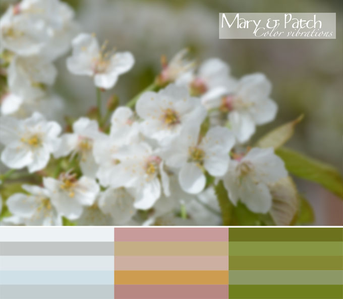 janvier 2016 | Mary & Patch