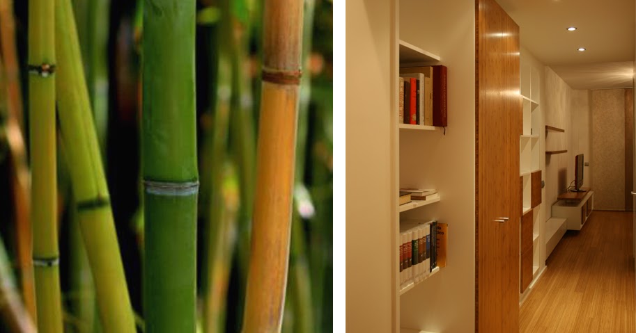 El bambú: un material sostenible, duradero y resistente|Espacios en madera