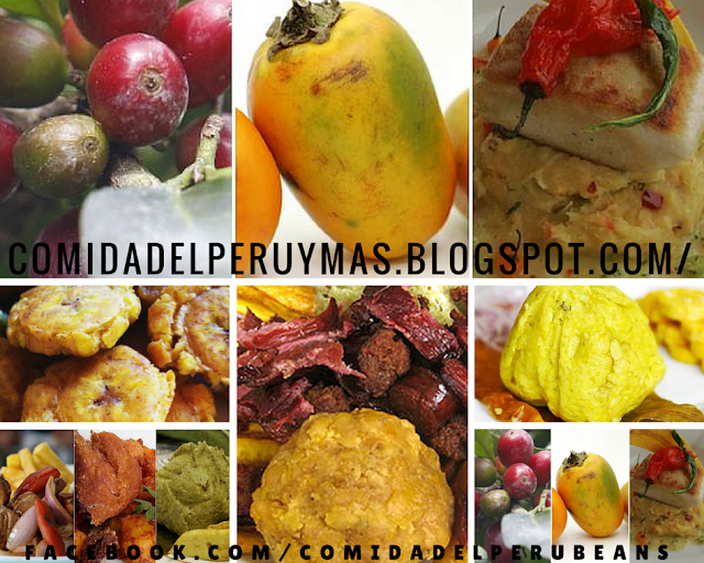 COMIDA DE LA SELVA : RECETAS DE COMIDA DEL PERÚ Y MAS