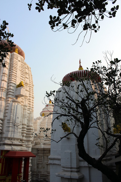 Wandering Soul!!: Kedar Gauri Temple, Bhubaneshwar