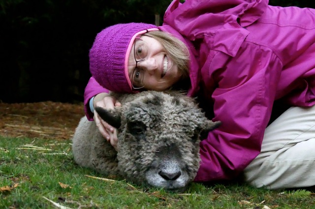 (Inter) National Hug A Sheep Day