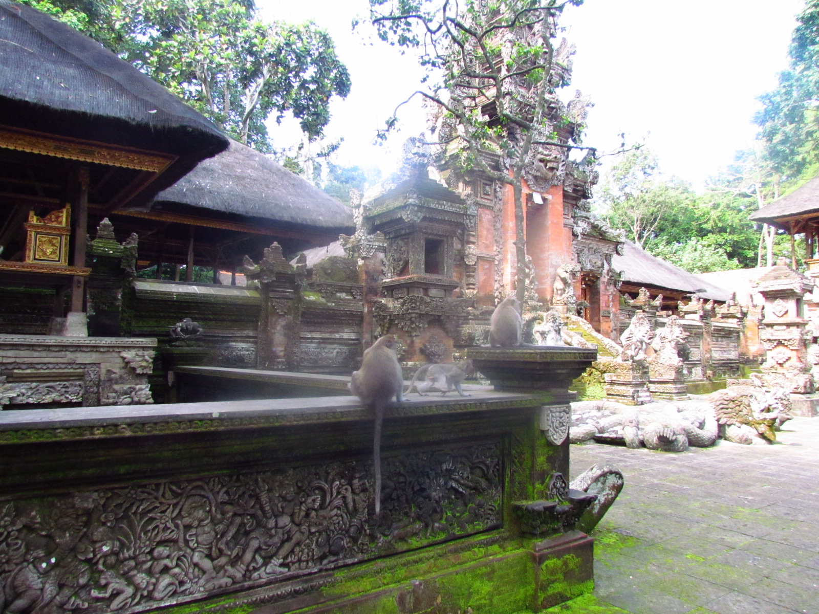Exploring the Village of Ubud