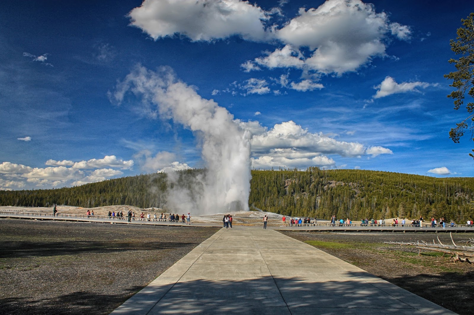 Yellowstone SW, Early Spring
