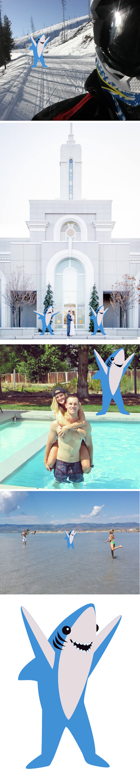 LD Solutions: LEFT SHARK FREEBIE