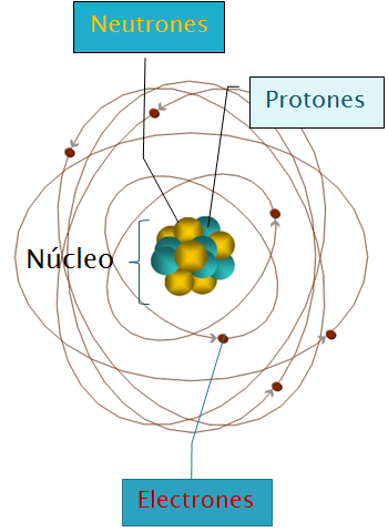 Biología y Geología 3º ESO: La organización del cuerpo humano