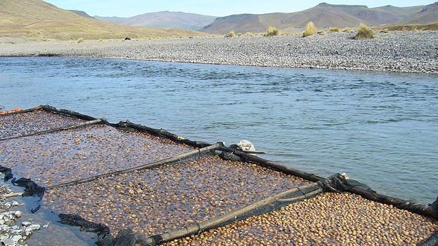 PUNO, CULTURA Y DESARROLLO: MAS SOBRE EL CHUÑO