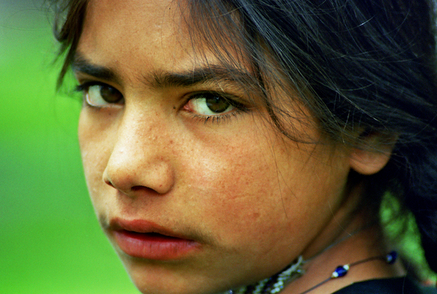 Lolo Diklo : Rromani Against Racism: WORLD ROMA ORGANIZATION