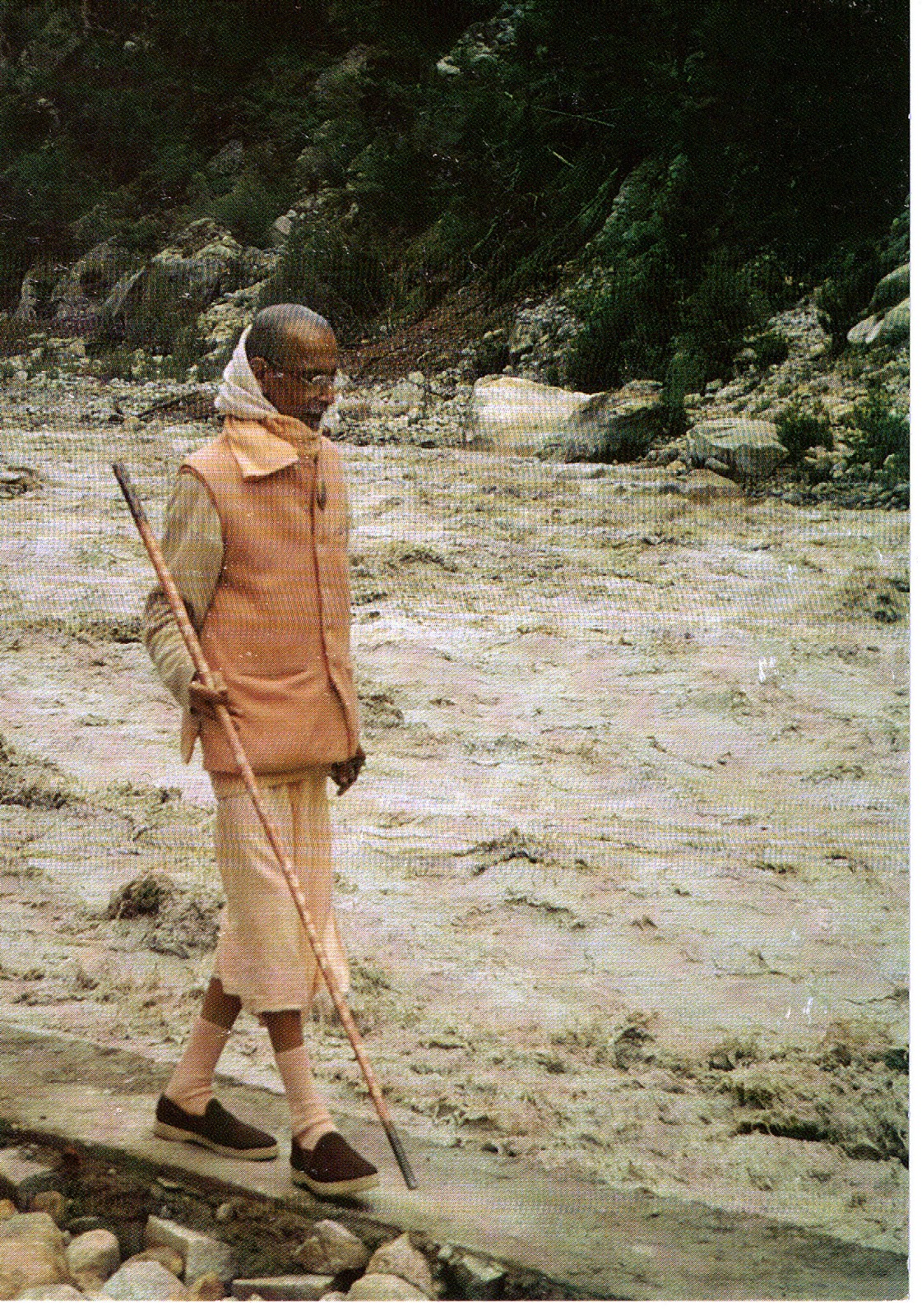 SATSANG - Midlands UK: Swami Chidananda - A Fruitful Life