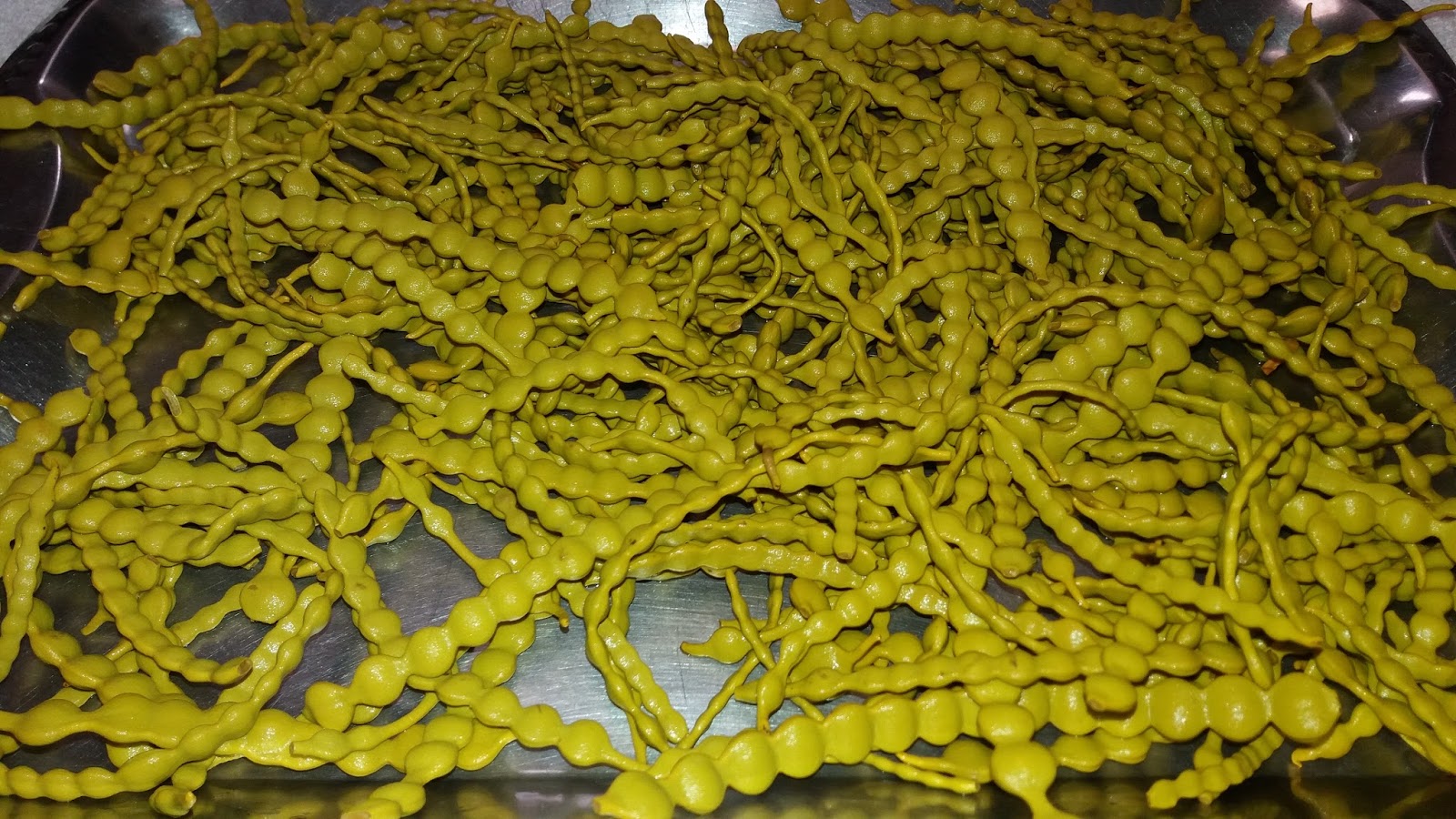 babool ki fali ka achar in hindi by aju p george - Indian Recipes 4 you