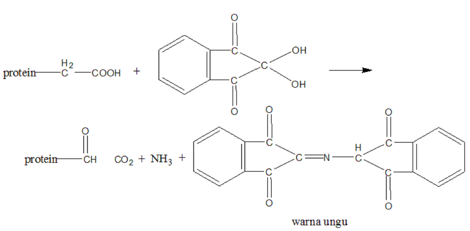 PERCOBAAN VIII - Senyawa Bio-Organik Lemak & Protein (Kimia Dasar I ...