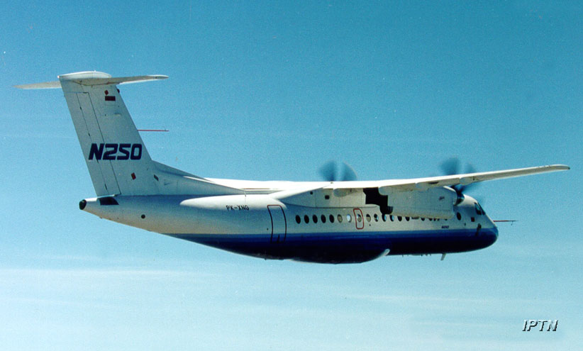 WEAPONS TECHNOLOGY: N 250