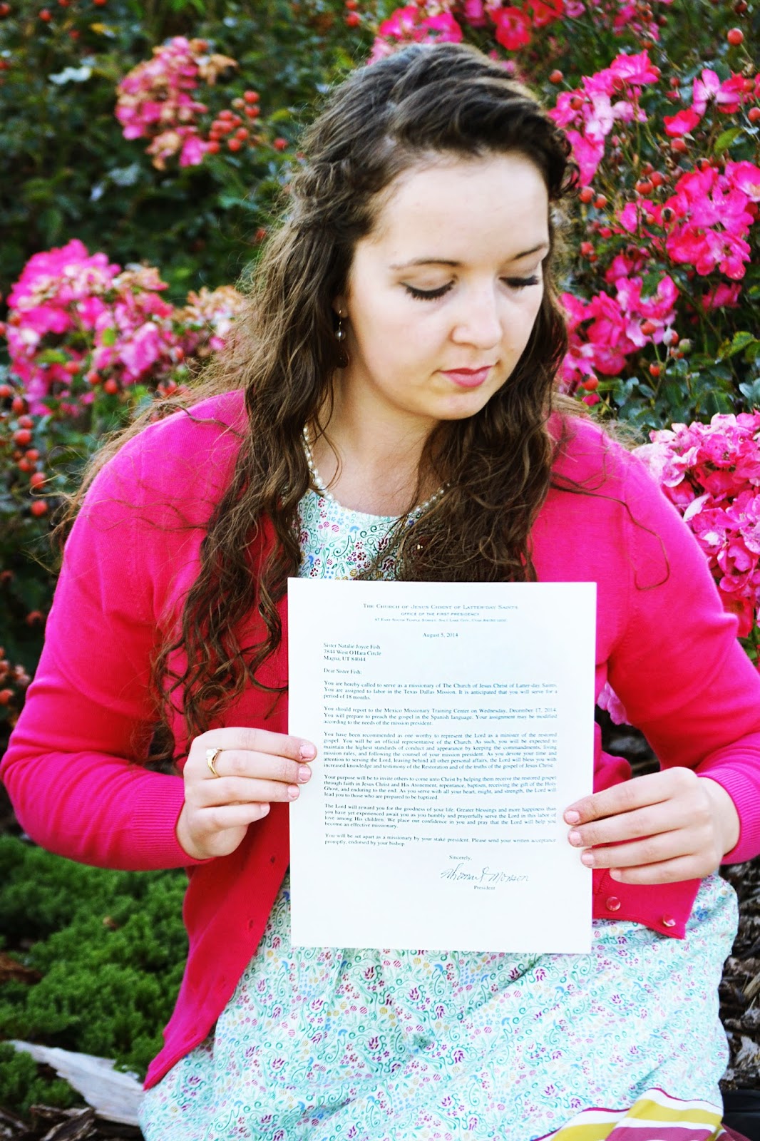 News From the FishBowl: Mission Pictures by Whimsy Girl Photography