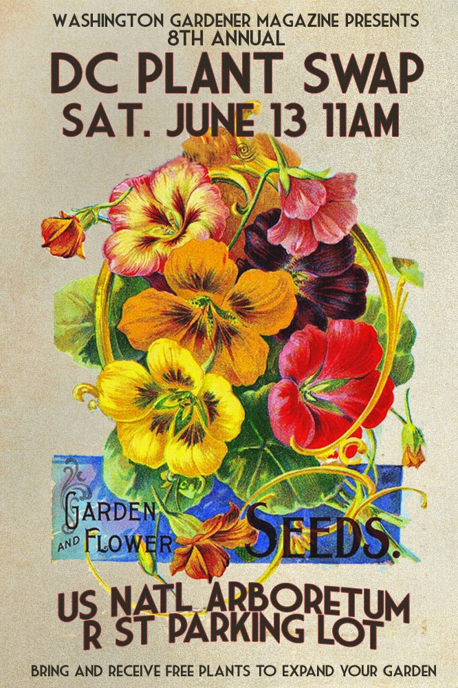 WashingtonGardener: 8th Annual DC Plant Swap Details