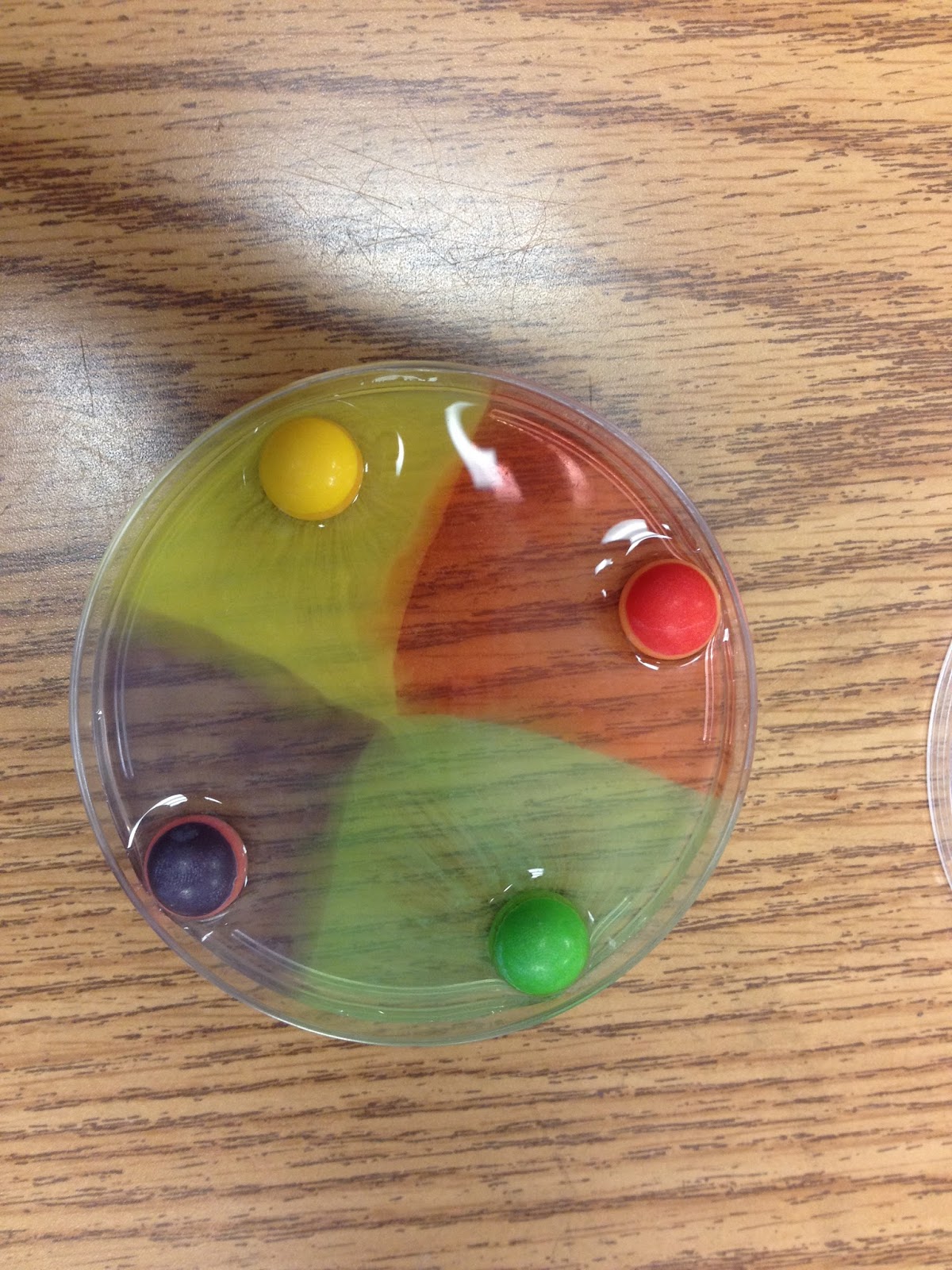 Growing Grade by Grade: The Gobstoppers Science Experiment