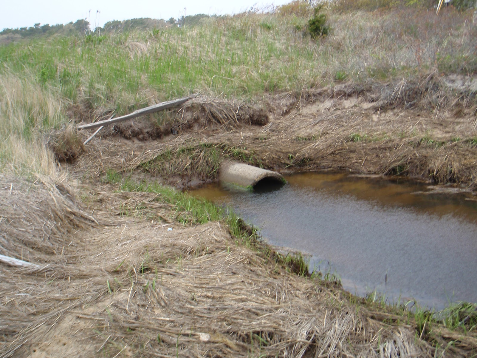 Cape Cod Water Resources Restoration Project: Restoring salt marshes at ...