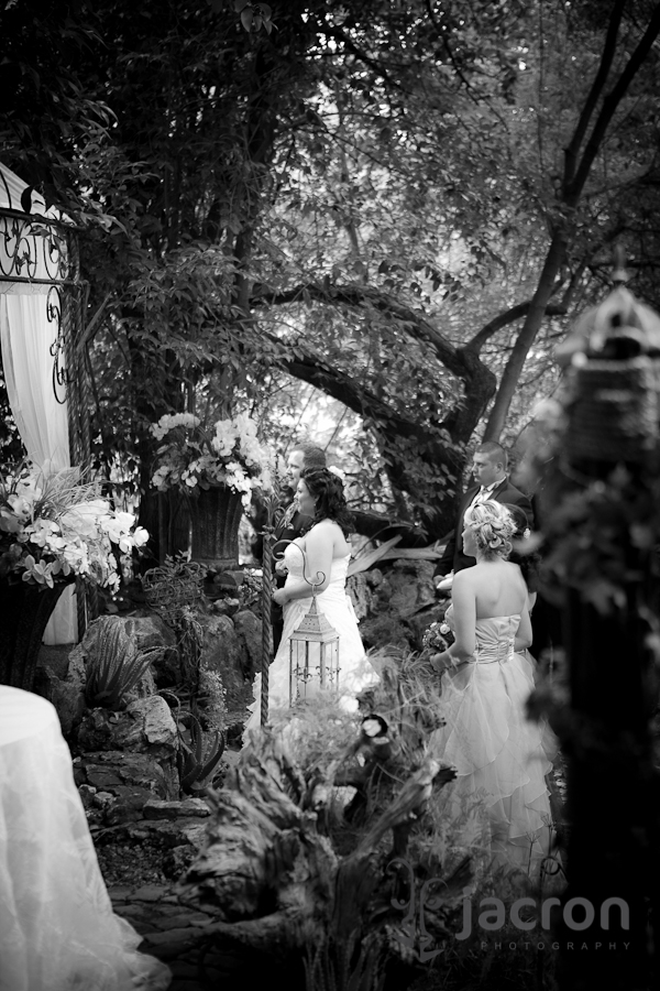 Jacron Photography.: Paul & Yvette, 12 December 2012. Whispering Tree ...