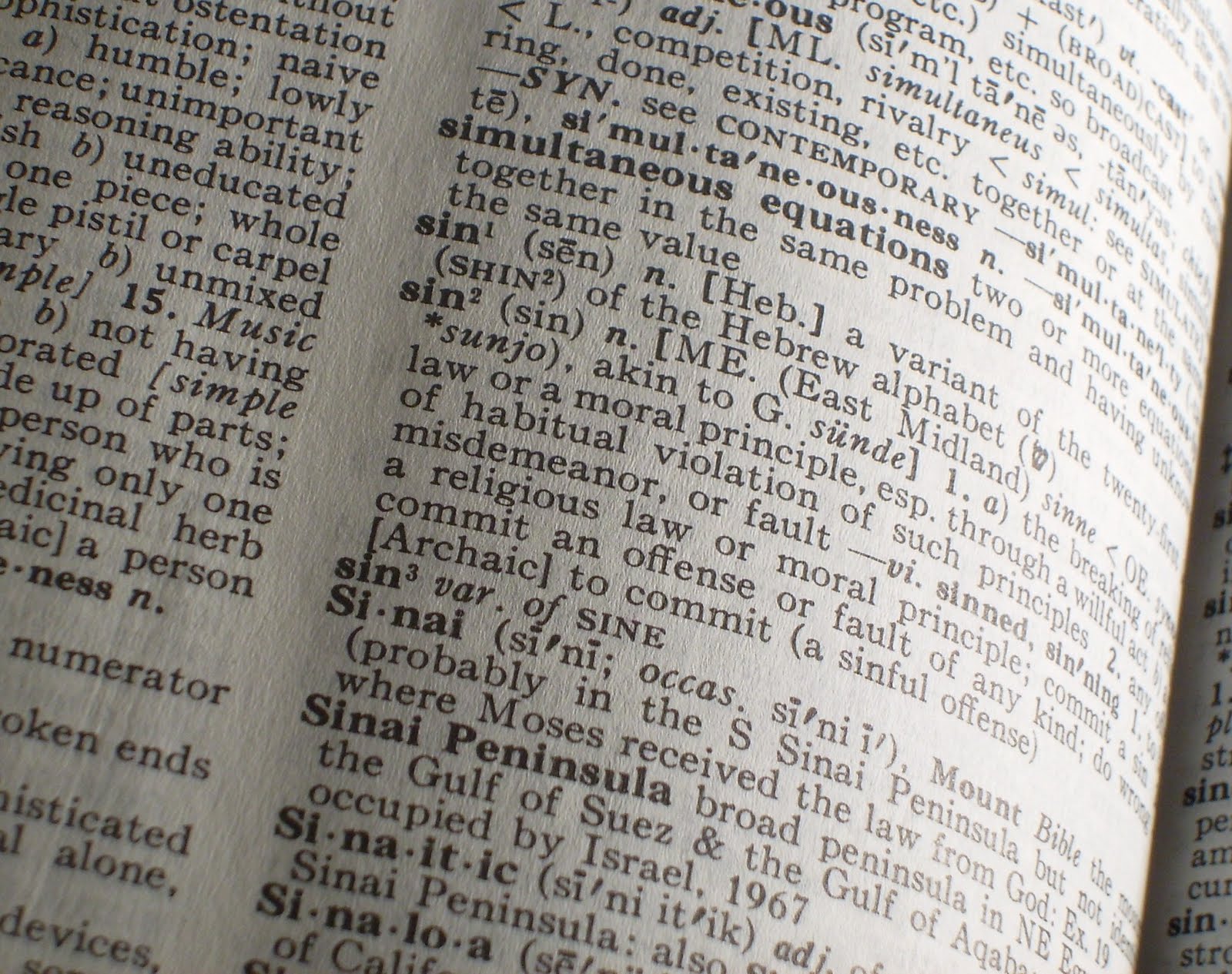 Savvy Sheep: Because God Said So