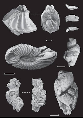 NeuroDojo: November 2015