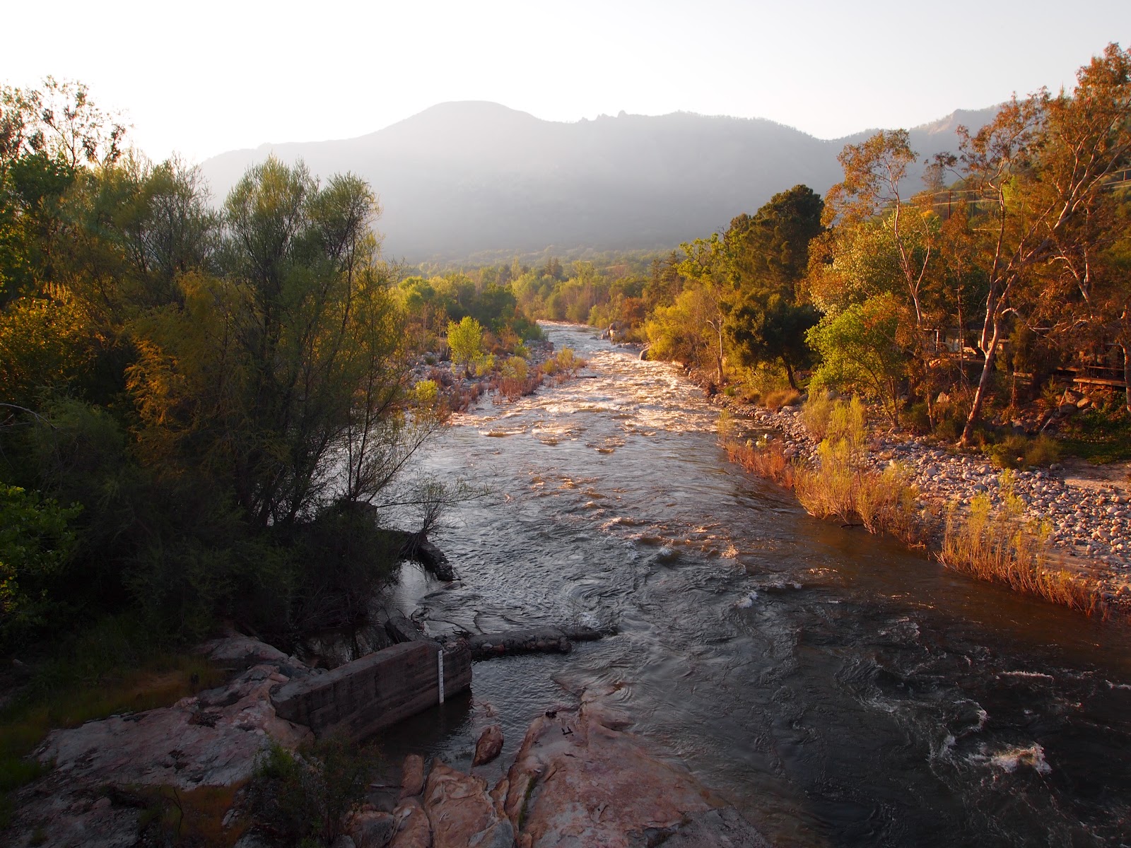Agave Latte: Three Rivers Workshop