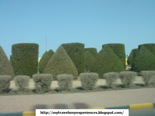 My Travels,My Experiences: How Green is Kuwait?