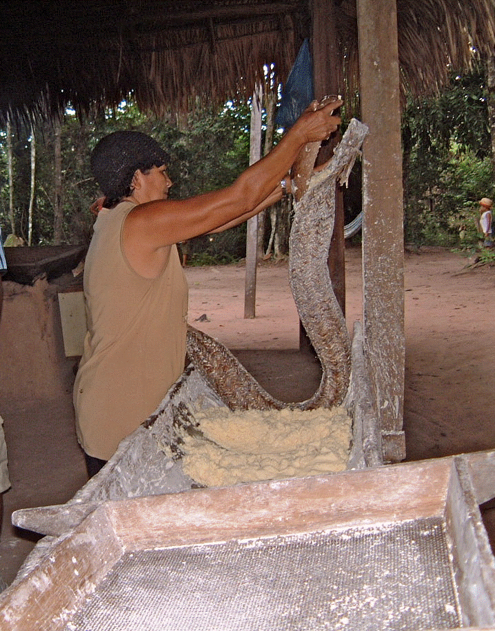 The Travel Authority: UP A HAZY RIVER: CRUISIN’ THE AMAZON