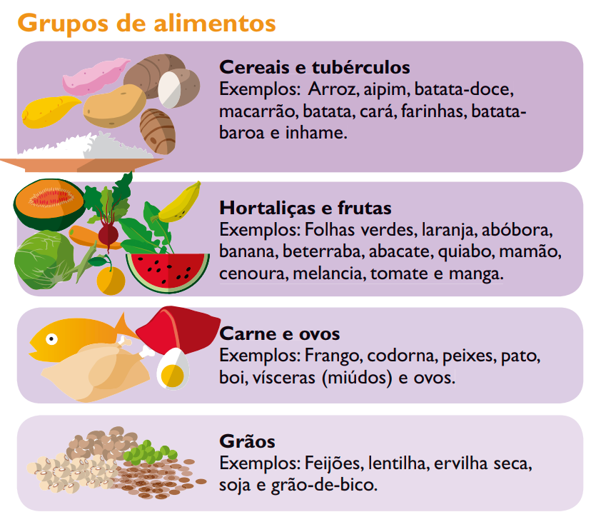 Grupos Alimentares Introdução Alimentar - FDPLEARN