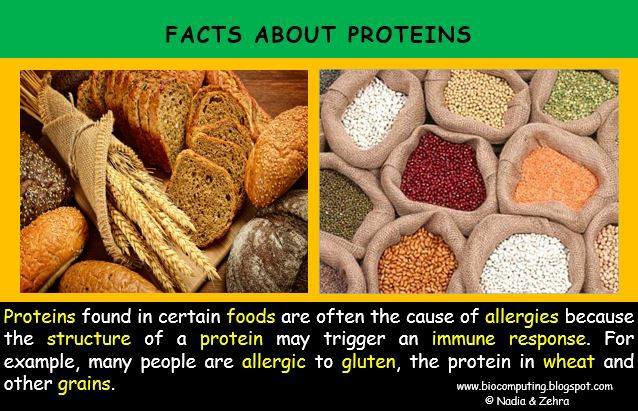 All about Bioinformatics: Facts about Proteins