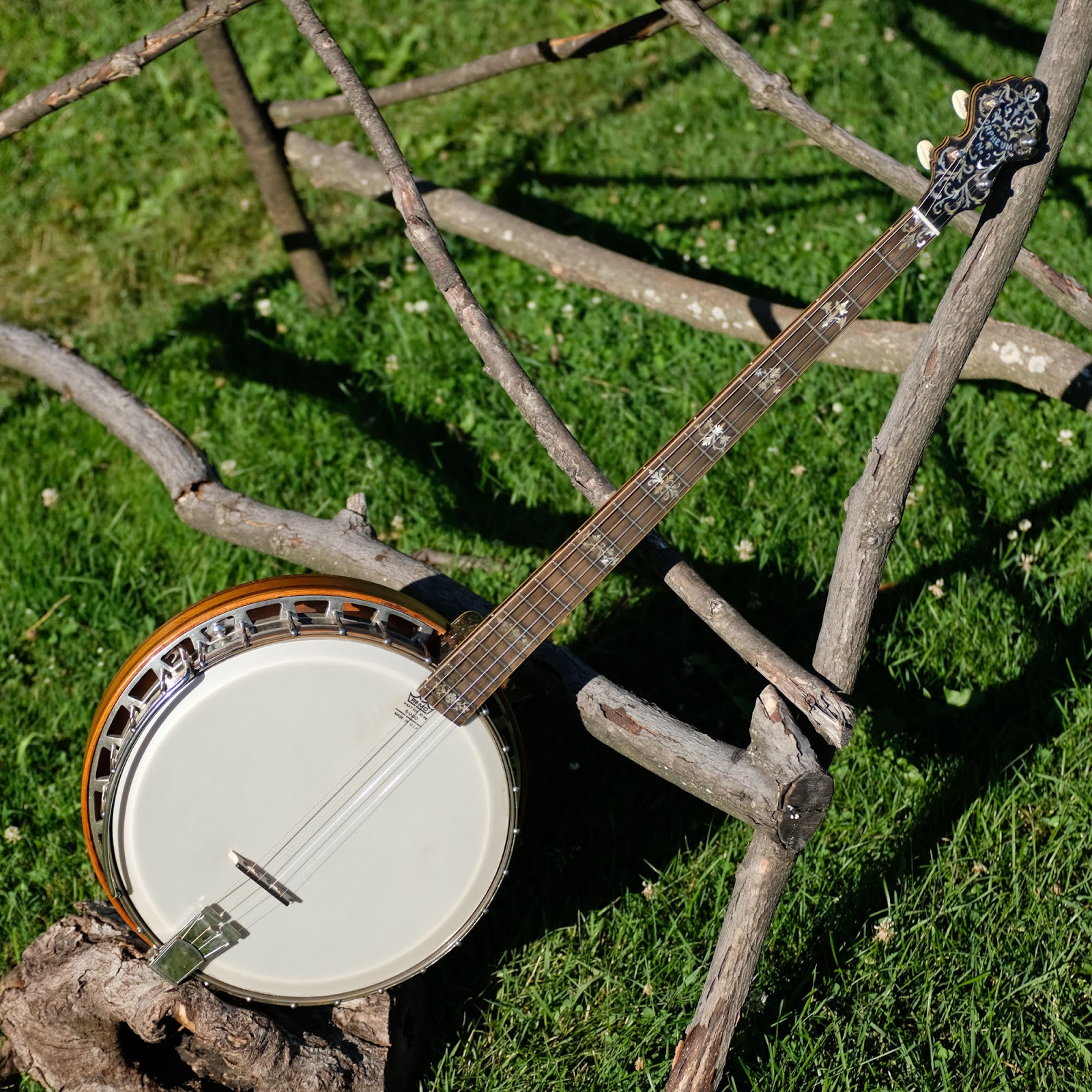 1920s Lange-made Orpheum No. 3 Mixmash Plectrum Banjo