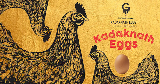What is so unique about Kadaknath eggs? (Daily diet plan 20% Protein ...