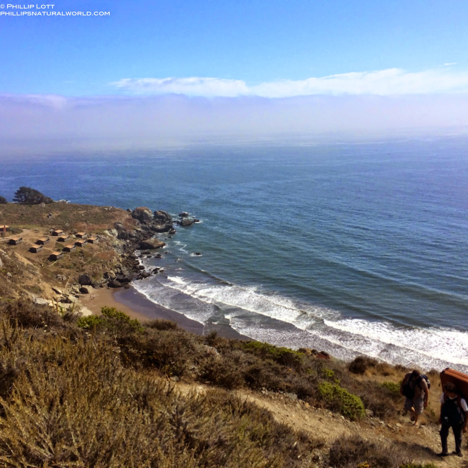 Point Reyes National Seashore - Phillip's Natural World